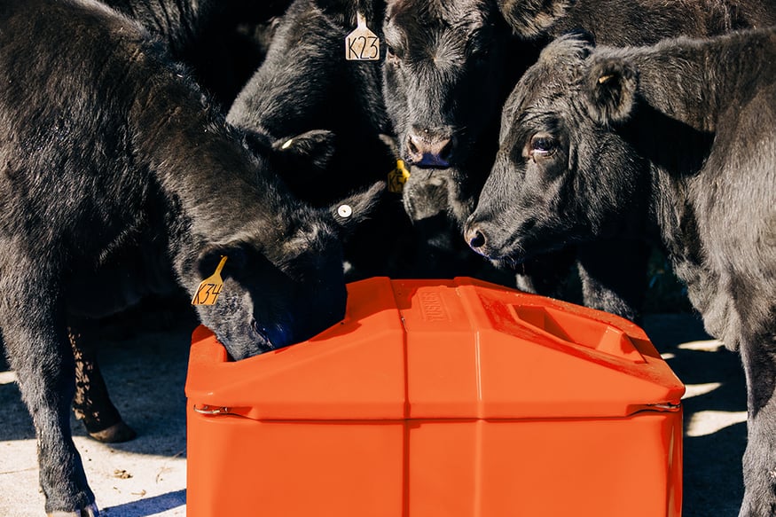 Livestock Water Tanks for Any Herd Size | Tusker