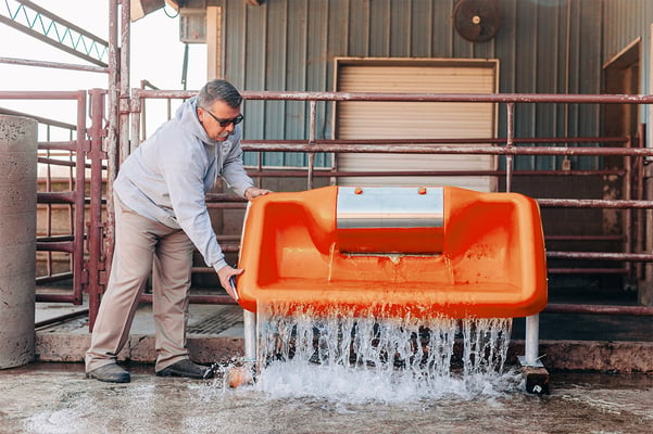 The Ultimate Guide to Livestock Water Tanks: Everything You Need to Know
