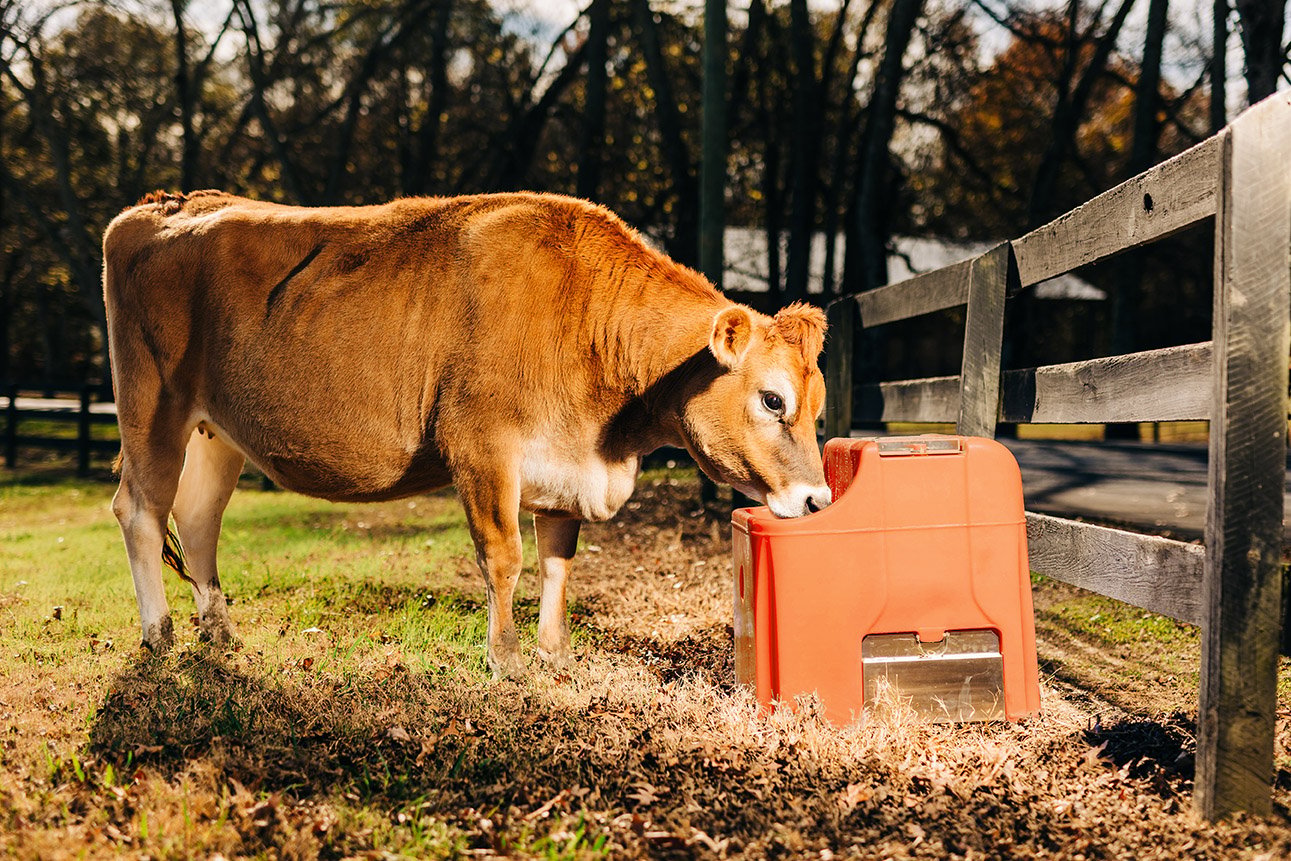 The Ultimate Guide to Livestock Water Tanks: Everything You Need to Know